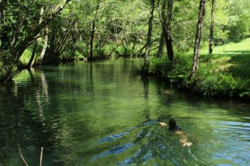 Algaetorch - Bathing Water Applications - Envitech Ltd