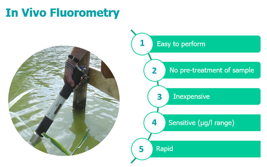 Algaetorch - Bathing Water Applications - Envitech Ltd