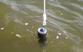 Algaetorch - Bathing Water Applications - Envitech Ltd